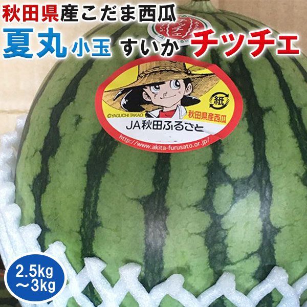 あきた夏丸 すいか 小玉 西瓜 チッチェ スイカ 2.5kg～3Kg 1玉【秋田県産 西瓜 JA秋田ふるさ】冷蔵庫に入る大きさ こだま西瓜 小さなギフト ちっちゃいスイカ 東北特産品 お中元 ...