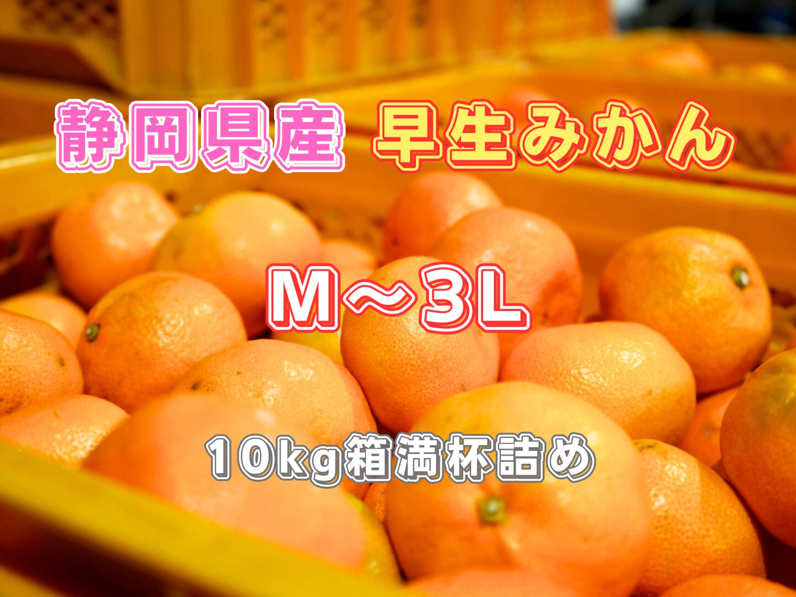 早生みかん【M〜3L)】10kg箱満杯詰め - メルカリ