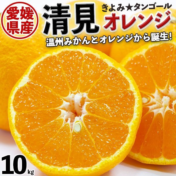 愛媛 清見オレンジ みかん (清見タンゴール) 訳あり 10kg M～3Lサイズ 1箱 愛媛県産【サイズお任せ・出荷日お任せ・指定日不可】 - メルカリ