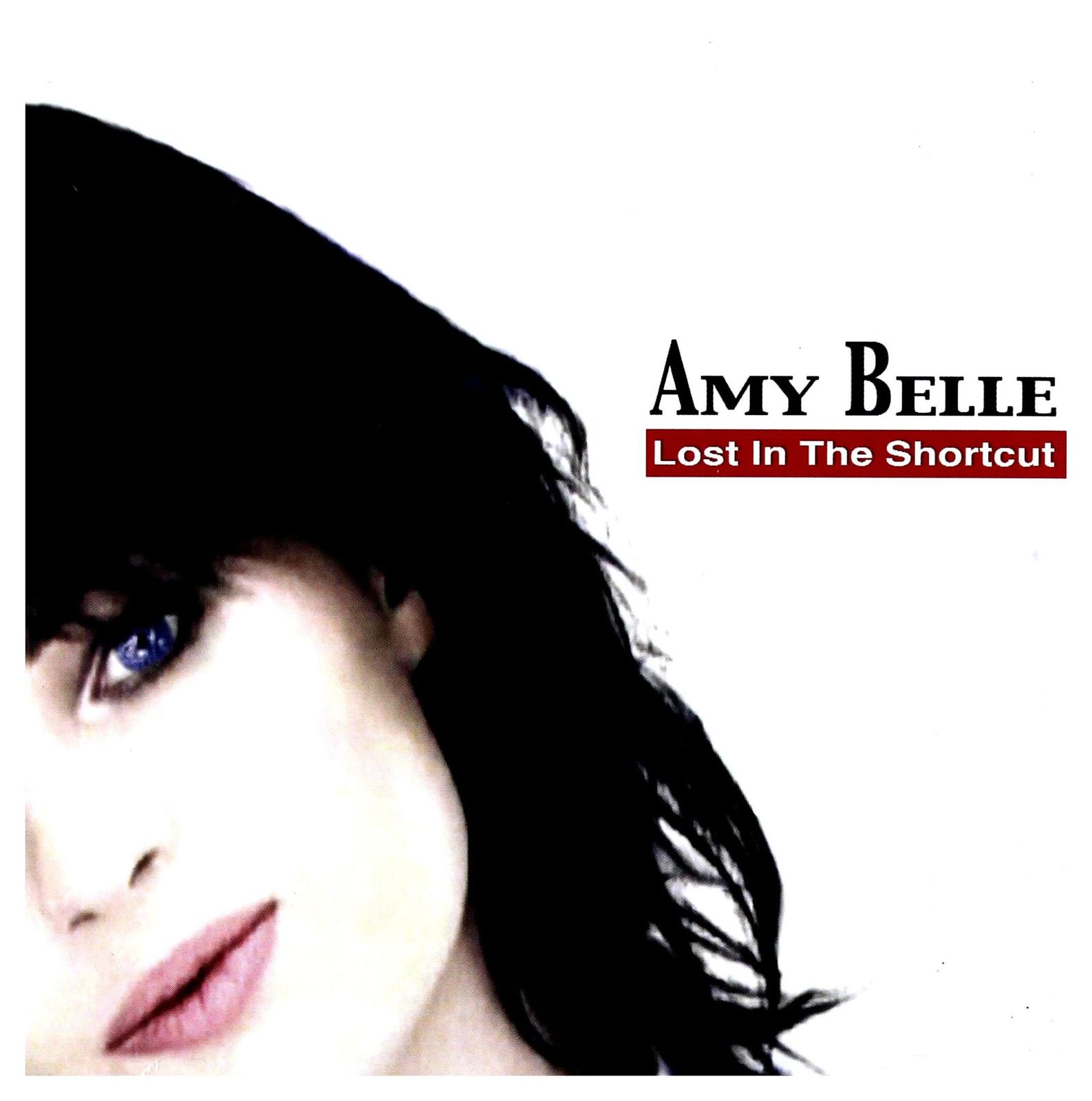 Lost in the Shortcut(中古品) - メルカリ