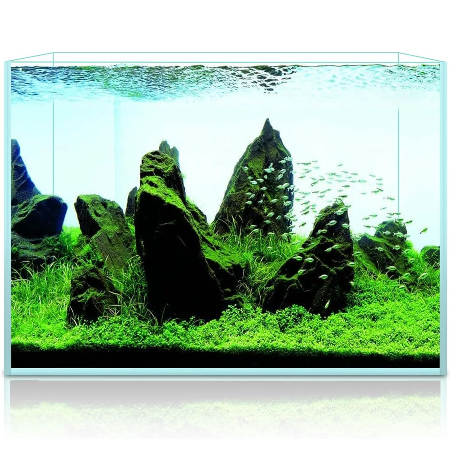 【LONGRUI公式】グラステリアスリム 水槽 30×17×20cm 約10L 小型 ガラス水槽 フレームレス 3年保証 ベタ 金魚 メダカ ...