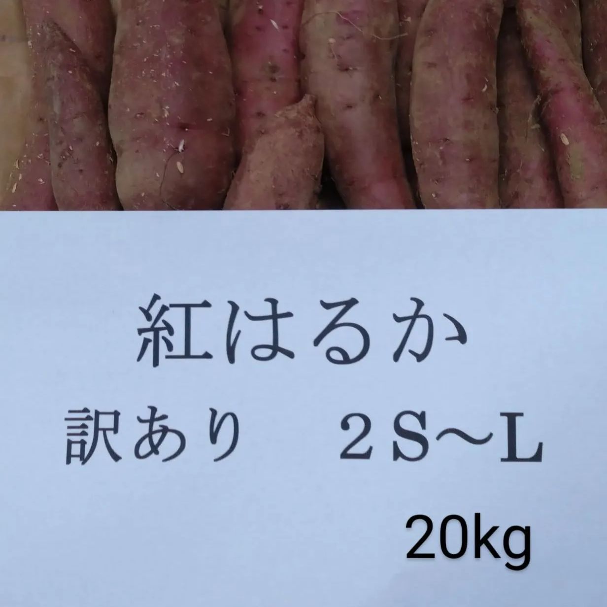 紅はるか訳あり品2S〜Lサイズ20kg - メルカリ