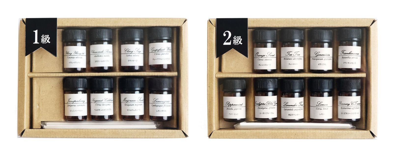 【新品・即日発送】ease-aroma(イーズアロマ) AEAJアロマテラピー検定香りテスト対象精油セット 揃えておきたい基本の精油 1・2級 17本セット各1ml アロマテラピー検定1・2級 ...