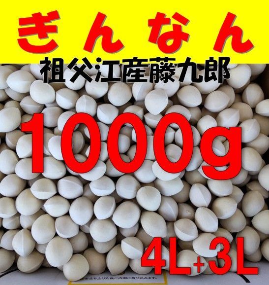 1000g 4L+3L 藤九郎 日本一祖父江 銀杏 ぎんなん - メルカリ
