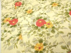 平和屋着物□極上 夏物 八寸名古屋帯 羅 利休茶色地 逸品 DZAA8627kh5