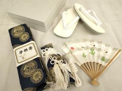 平和屋着物□極上 夏物 八寸名古屋帯 羅 利休茶色地 逸品 DZAA8627kh5