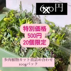 2025年最新】セダムカット苗の人気アイテム - メルカリ 2025年最新】セダムカット苗の人気アイテム - メルカリ