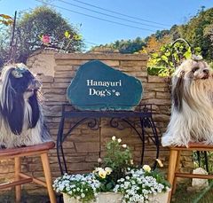 Hanayuri Dog's - メルカリShops