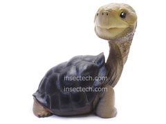 動物の惑星】MAX/PLUS/限定品 動物の惑星】MAX/PLUS/限定品