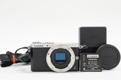 2025年最新】lumix gm1の人気アイテム - メルカリ 2025年最新】lumix gm1の人気アイテム - メルカリ