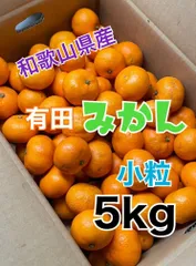 【2026年最新】有田みかん 小玉 5キロの人気アイテム - メルカリ